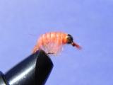 The Orange Scud - Gary Lewis Outdoors